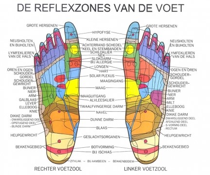 Wat is VoetreflexPlus therapie? – Praktijk B-Fre